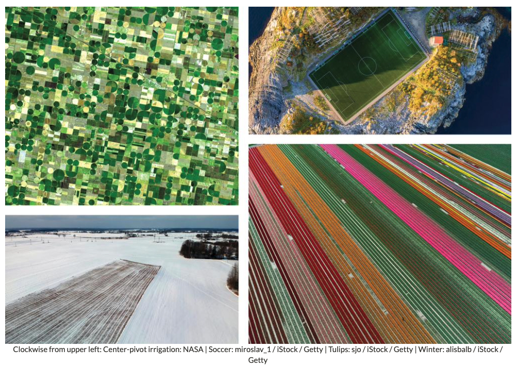 Field – Callie J. Smith